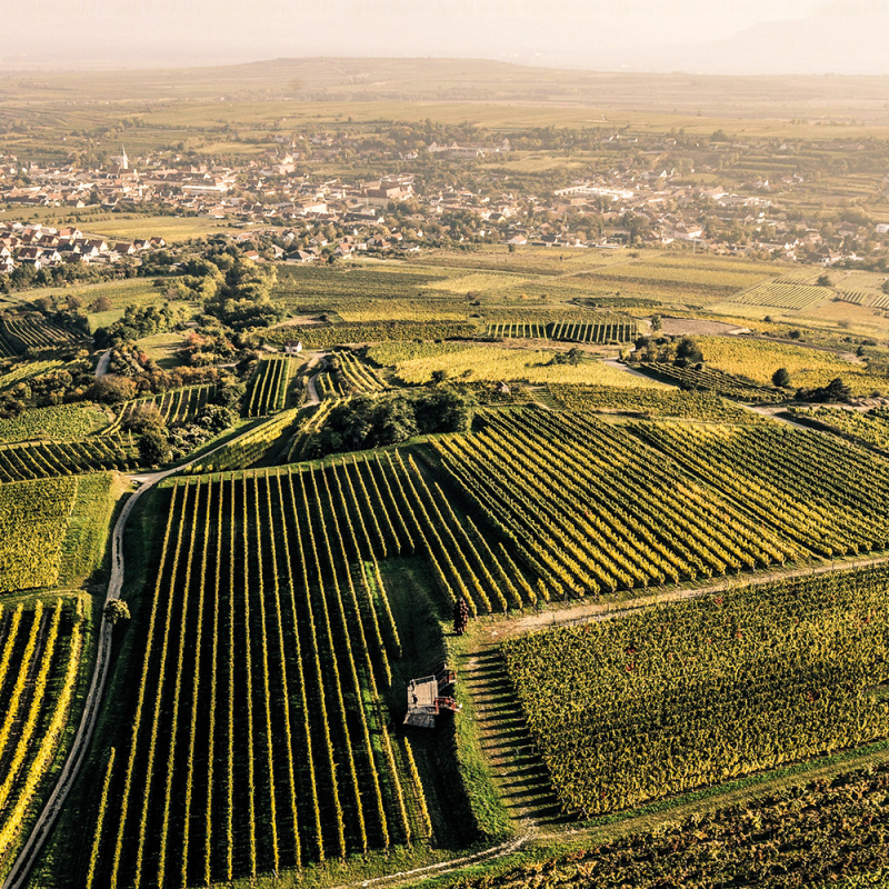 1ÖTW Erste Lagen Kamptal - WEIN & CO